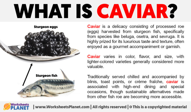 What is Caviar | Definition of Caviar