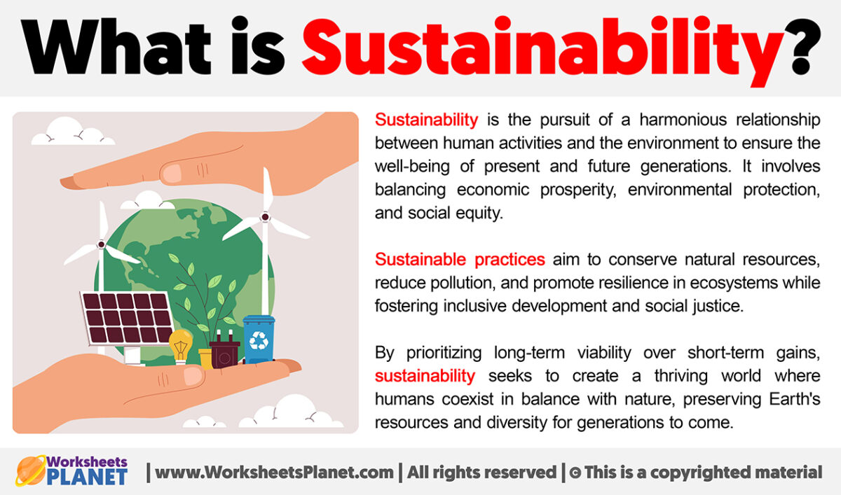 What is Sustainability | Definition of Sustainability