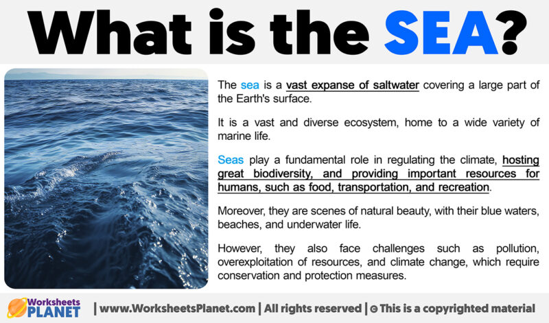 What is the Sea | Definition of Sea