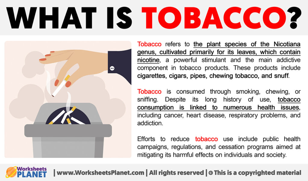 What is Tobacco | Definition of Tobacco