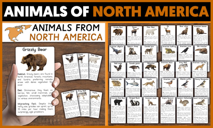 Teaching Resources | Free Printable Worksheets