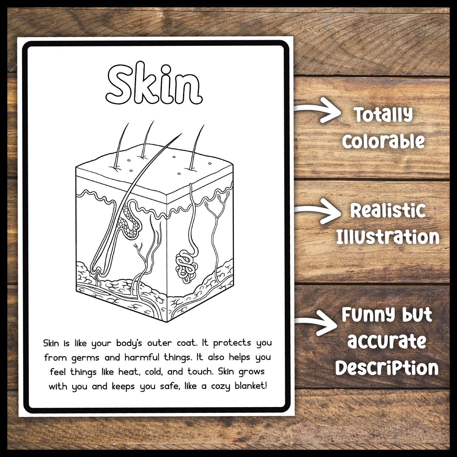 Body Organs Coloring Pages