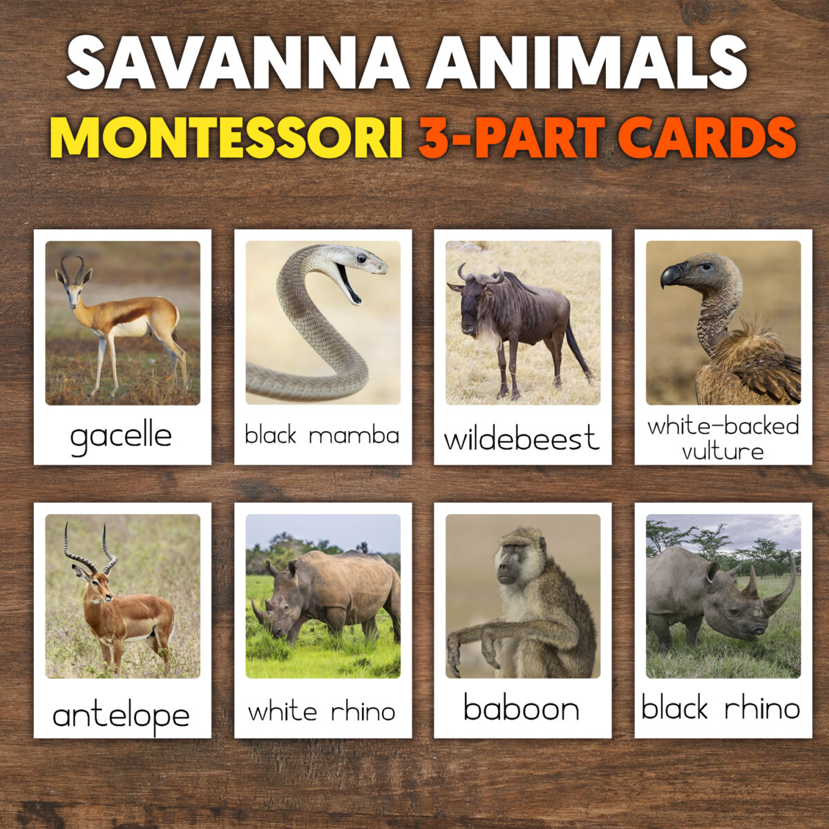 Savan Animals Flashcards For Kids