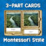 Types of Landforms Flashcards | Montessori 3-Part Cards