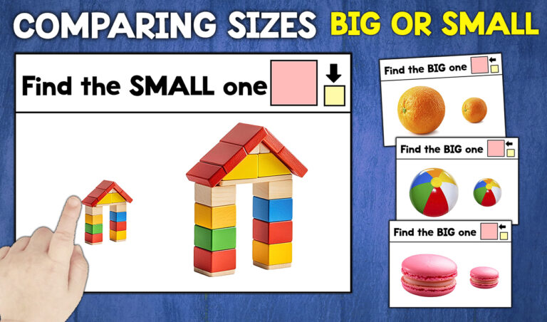 Big and Small Sorting Activity for Special Education