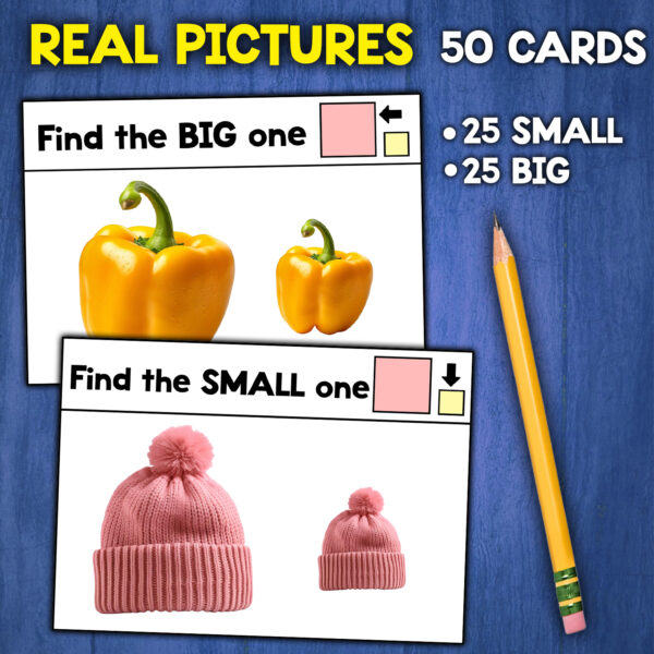 Big and Small Sorting Activity for Special Education