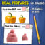 Big and Small Sorting Activity for Special Education
