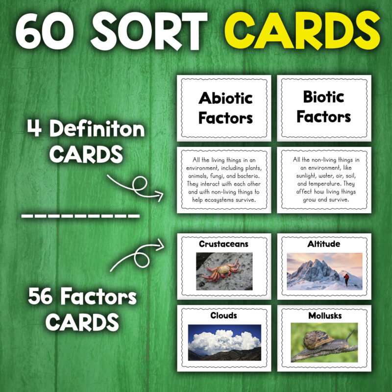 Biotic and Abiotic Factors Activity