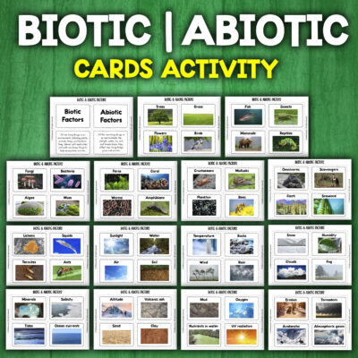 Biotic and Abiotic Factors Activity
