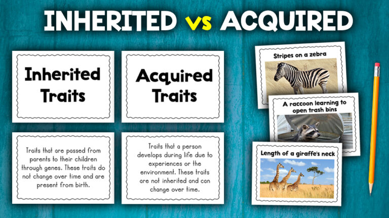Inherited and Acquired Traits Activity