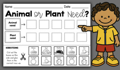Animal and Plant Needs Worksheet