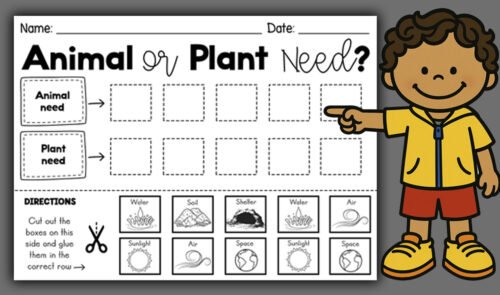 Animal and Plant Needs Worksheet