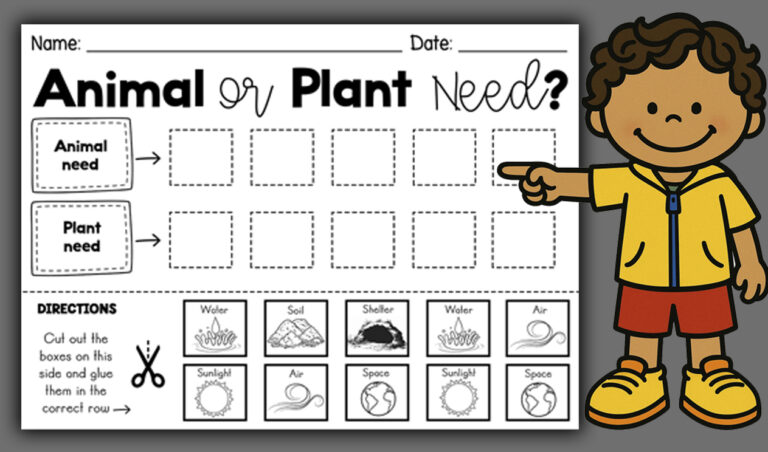 Animal and Plant Needs Worksheet