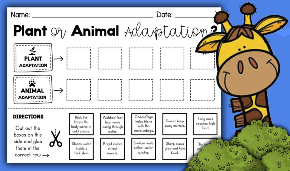 Science | Worksheets Planet