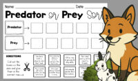 Predator and Prey Worksheet | Sorting Activity
