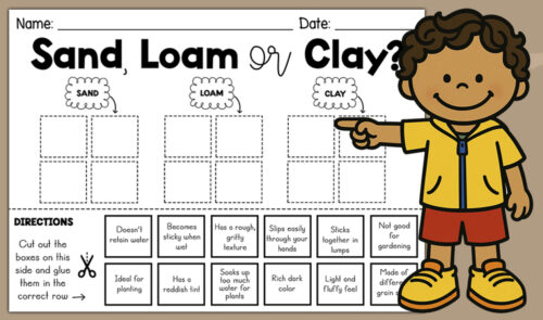 Types of Soil Worksheet
