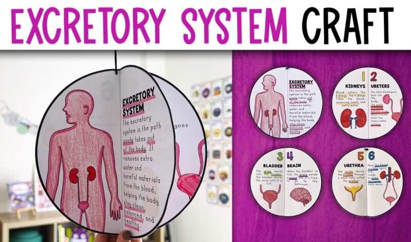 Teaching Resources | Free Printable Worksheets