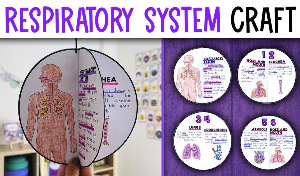 Science Resources for Teachers
